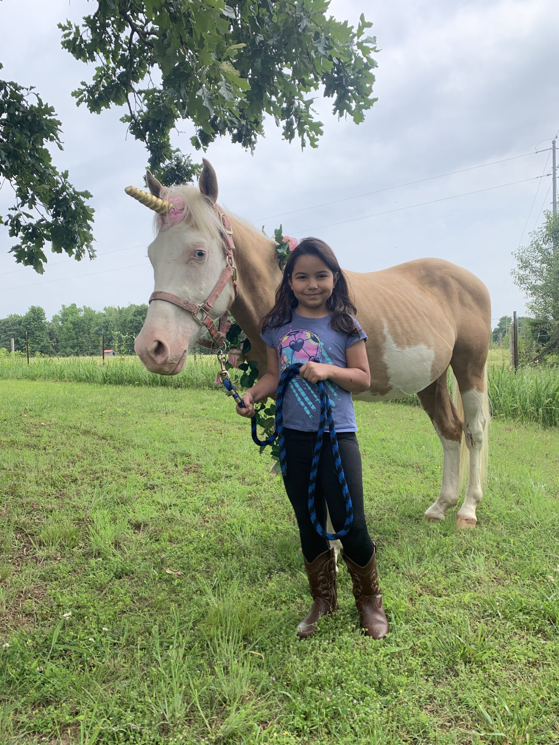 Pony Garten - Kirsch Equestrian Center